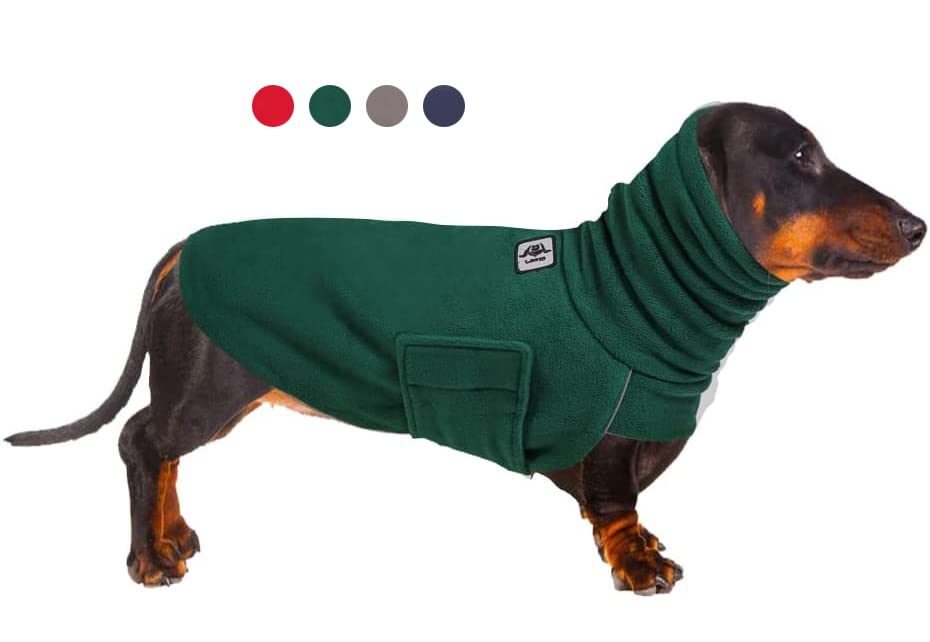 Dachshund Clothes, Dachshund Costumes for Medium Small Large Dogs, Dachshund Cold Weather Coat, Cold Weather Dachshund Coats, Dachshund Cold Coat (L, Green)