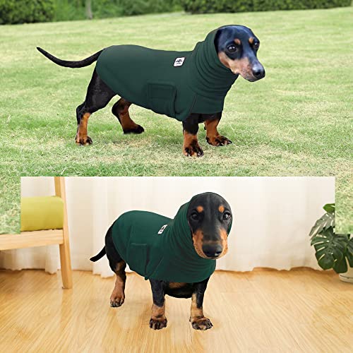 Dachshund Clothes, Dachshund Costumes for Medium Small Large Dogs, Dachshund Cold Weather Coat, Cold Weather Dachshund Coats, Dachshund Cold Coat (L, Green)