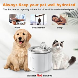 Cat Water Fountain Stainless Steel - SINDOX Dog Water Bowl Fountain, 2.6L/88oz Automatic Cat Fountains Super Quiet Pet Drinking Water Dispenser for Cats, Dogs, Multiple Pets with 3 Filters - White