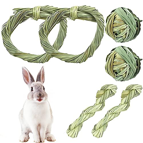 6 Pcs Molar Toy Rabbit Toys Set Small Animal Toys for Hamster Guinea Pig Rabbit Rat Chinchilla and Gerbils