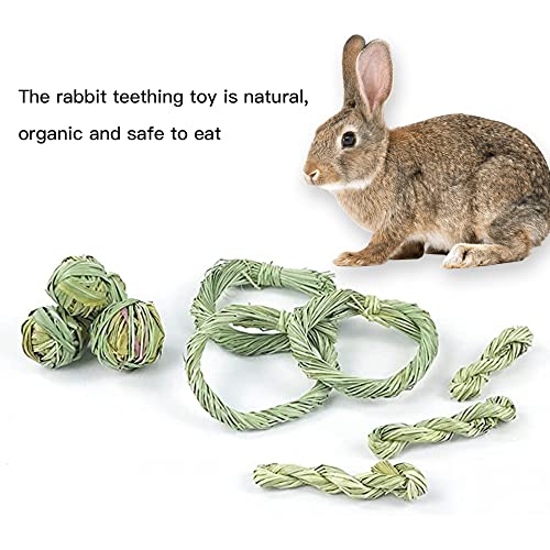 6 Pcs Molar Toy Rabbit Toys Set Small Animal Toys for Hamster Guinea Pig Rabbit Rat Chinchilla and Gerbils