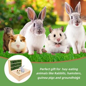 Hay Feeder, Indoor Hay Feeder with Litter Pan, Rabbit Hay Feeder with Plastic Litter Box, Designed for Rabbit Hamster Guinea Pig Small Pet Animals