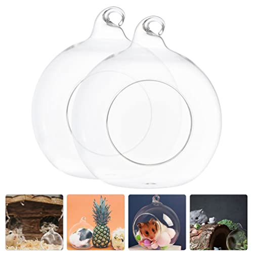 POPETPOP Hanging Flower Pot Glass Hamster House Terrarium Air Plants Containers Clear Small Animal Hideout Hydroponic Flower Vase Guinea Pig Summer Cooling Hut Cage 2Pcs Wedding Decorations