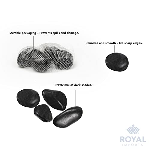 Royal Imports 5LB Decorative Stones River Pebbles Flat Painting Rocks for Fish Aquariums, Plant Gravel, Landscaping, Home Decor Natural - Medium Black