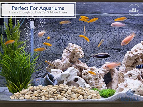 Royal Imports 5LB Decorative Stones River Pebbles Flat Painting Rocks for Fish Aquariums, Plant Gravel, Landscaping, Home Decor Natural - Medium Black