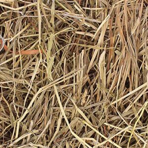 Grandpa's Best Premium Timothy Hay 10lb Loose Boxed