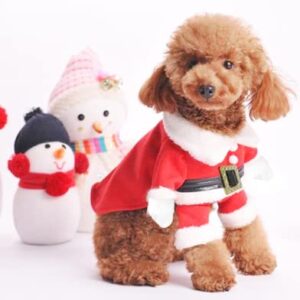 HOTUMN Dog Santa Costume Christmas Walking Dog Costume with Hat Dog Clothes Winter Funny Outfit Xmas Gift for Small Medium Dogs Cats (X-Large)