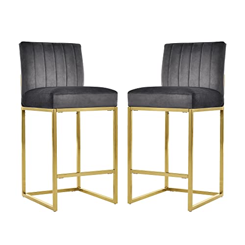 Harper & Bright Designs Dining Chair Set of 2, Modern Counter Height Bar Stools, Dining Chairs with Square Velvet Upholstered Seat and Backrest for Party, Dining Room (Set of 2/Square, Gray+Gold)