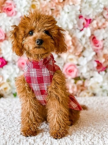 Fitwarm Dog Christmas Outfit, Winter Dog Dress, Dog Clothes for Small Dogs Girl, Turtleneck Plaid Pet Costume, Cat Apparel, Red, XXS