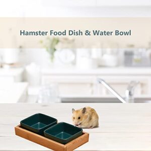 Acsist Hamster Bowl Guinea Pig Ceramic Water Bowl Hamster Food Dish Small Animal Bowl Prevent Knocking Over for Dwarf Hamster Syrian Hamster Rabbit Gerbil Chinchilla Hedgehog (Green)