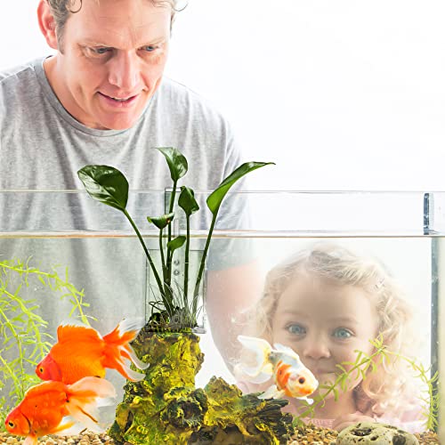 POPETPOP Fish Tank Transparent Decs - Water Planter Hanging Aquatic Holder Fish Tank Aquarium Planting Cup Crystal Glass Aquatic Garden Kit Indoor Sturdy Water Plant Container