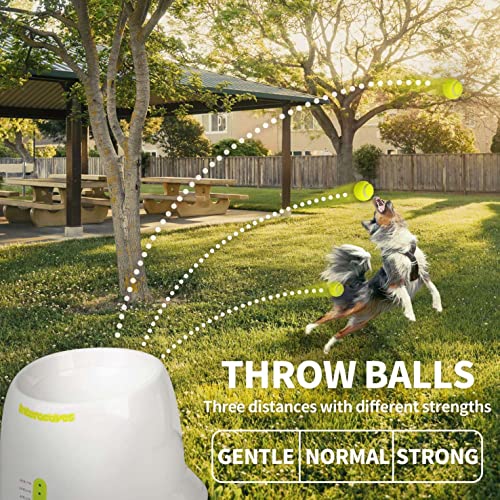 A1PETS Automatic Dog Ball Launcher/Automatic Ball Launcher for Pets/Interactive Puppy Pet Ball Indoor Thrower Machine/Fetch Machine for Small and Medium Size Dogs / 3 Balls Included