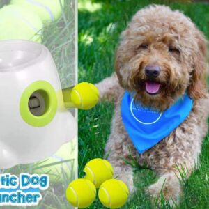 A1PETS Automatic Dog Ball Launcher/Automatic Ball Launcher for Pets/Interactive Puppy Pet Ball Indoor Thrower Machine/Fetch Machine for Small and Medium Size Dogs / 3 Balls Included