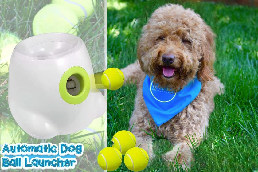 A1PETS Automatic Dog Ball Launcher/Automatic Ball Launcher for Pets/Interactive Puppy Pet Ball Indoor Thrower Machine/Fetch Machine for Small and Medium Size Dogs / 3 Balls Included