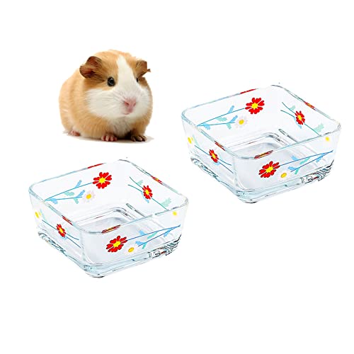 Acsist Hamster Food Bowl Small Animals Glass Water Bowl Food Dish Feeding Bowls for Guinea Pigs Gerbil Mouse Rat Chinchilla Hedgehog Sugar Glider(2 Pack,Red Daisy)