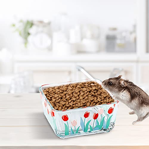 Acsist Hamster Food Bowl Small Animals Glass Water Bowl Food Dish Feeding Bowls for Guinea Pigs Gerbil Mouse Rat Chinchilla Hedgehog Sugar Glider(2 Pack,Red Daisy)