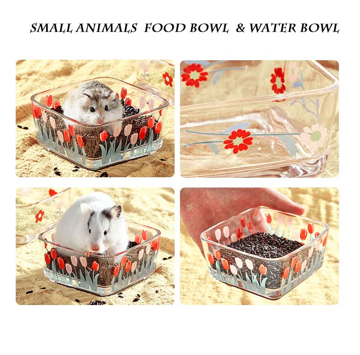 Acsist Hamster Food Bowl Small Animals Glass Water Bowl Food Dish Feeding Bowls for Guinea Pigs Gerbil Mouse Rat Chinchilla Hedgehog Sugar Glider(2 Pack,Red Daisy)