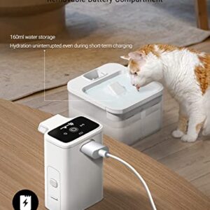 DownyPaws Wireless Cat Water Fountain, Battery Operated Automatic Pet Water Fountain with Motion Sensor, 84oz/2.5L Ultra Quiet Dog Water Dispenser Inside