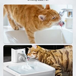 DownyPaws Wireless Cat Water Fountain, Battery Operated Automatic Pet Water Fountain with Motion Sensor, 84oz/2.5L Ultra Quiet Dog Water Dispenser Inside