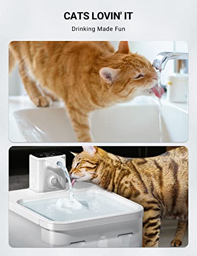 DownyPaws Wireless Cat Water Fountain, Battery Operated Automatic Pet Water Fountain with Motion Sensor, 84oz/2.5L Ultra Quiet Dog Water Dispenser Inside