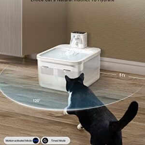 DownyPaws Wireless Cat Water Fountain, Battery Operated Automatic Pet Water Fountain with Motion Sensor, 84oz/2.5L Ultra Quiet Dog Water Dispenser Inside