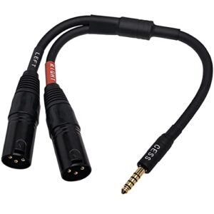 CESS-257 Black 4.4mm to Dual XLR Male Balanced Audio Headphone Adapter Cable