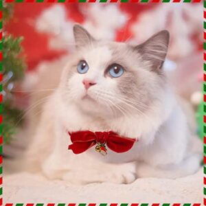 JUNSPOW Christmas Cat Costume Outfit Set Pet Christmas Costume Santa Christmas Hat Christmas Cat Collar for Puppy Kitten Christmas Party Costume Supplies