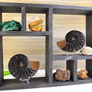 Mini Crystal Display Shelf - Rustic Wall-Mounted Floating Shelf for Farmhouse Décor. Great Nightstand/Apothecary Shelf for Fossils, Reiki Crystals or Countertop Organizer (Violet)