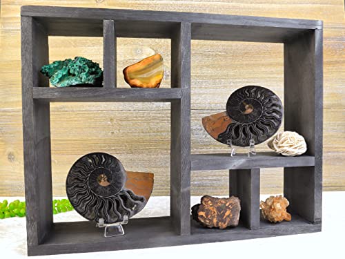 Mini Crystal Display Shelf - Rustic Wall-Mounted Floating Shelf for Farmhouse Décor. Great Nightstand/Apothecary Shelf for Fossils, Reiki Crystals or Countertop Organizer (Violet)