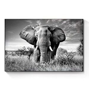 sunflax elephant wall art canvas artwork: african wild animals picture jungle landscape large painting black and white wildlife portrait print for modern living room bedroom bathroom ready to hang