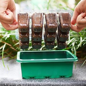 IWNTWY 10 Packs Seed Starter Tray, Seed Starter Kit with Humidity Dome and Base, Plant Starting Kit Mini Greenhouse Germination Kit for Indoors Seeds Sprout Growing Starting, 12 Cells Per Tray