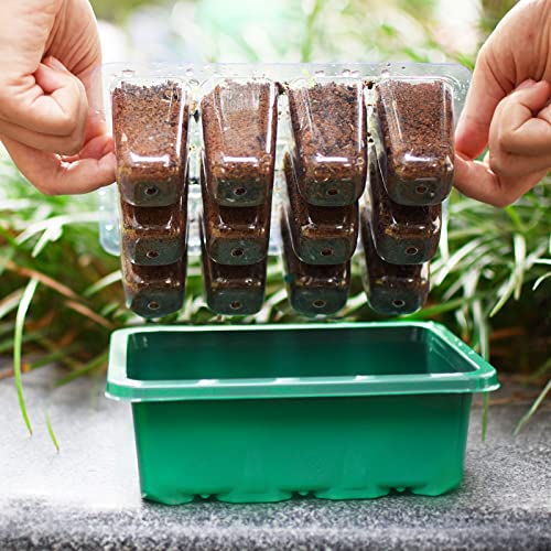 IWNTWY 10 Packs Seed Starter Tray, Seed Starter Kit with Humidity Dome and Base, Plant Starting Kit Mini Greenhouse Germination Kit for Indoors Seeds Sprout Growing Starting, 12 Cells Per Tray