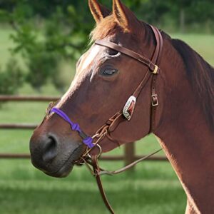 Harrison Howard Bitless Bridle Side Pull Hackamore Attachment Horse Tack Nosepiece Purple