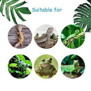 MUYG 4 PCS Crested Gecko Coconut Hide Natural Lizard Coco Hut Reptile Hanging Nest Flexible Vine Habitat Decoration Bearded Dragon Terrarium Accessories for Tortoise Chameleon Snake Spider