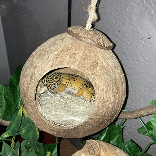 MUYG 4 PCS Crested Gecko Coconut Hide Natural Lizard Coco Hut Reptile Hanging Nest Flexible Vine Habitat Decoration Bearded Dragon Terrarium Accessories for Tortoise Chameleon Snake Spider