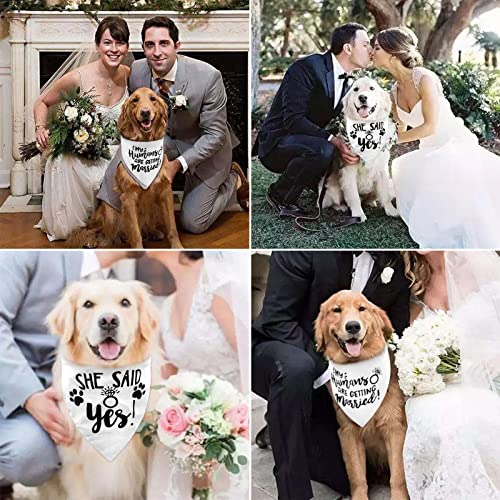 2PCS White My Humans are Getting Married She Said Yes Dog Wedding Engagement Bandana, LMSHOWOWO Dog Bandana Wedding Engagement Announcement Gifts Pet Scarf Accessories for Dog Lovers, Bridal Shower