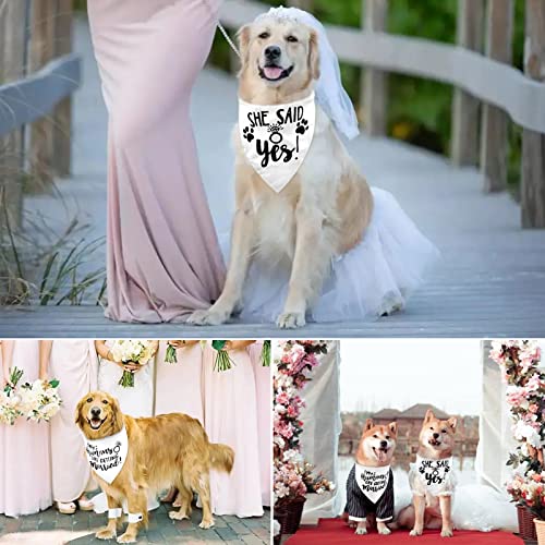 2PCS White My Humans are Getting Married She Said Yes Dog Wedding Engagement Bandana, LMSHOWOWO Dog Bandana Wedding Engagement Announcement Gifts Pet Scarf Accessories for Dog Lovers, Bridal Shower