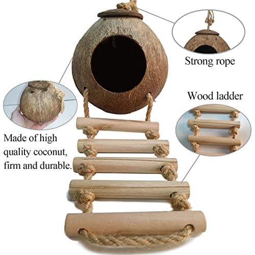 Freiomyi Crested Gecko Coco Hut with Ladder, Lizard Hideouts Natural Coconut Shell Mini Nest Hiding Habitat Decor with Jungle Leaves for Reptile, Snake, Hermit Crab