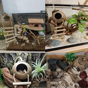 Freiomyi Crested Gecko Coco Hut with Ladder, Lizard Hideouts Natural Coconut Shell Mini Nest Hiding Habitat Decor with Jungle Leaves for Reptile, Snake, Hermit Crab