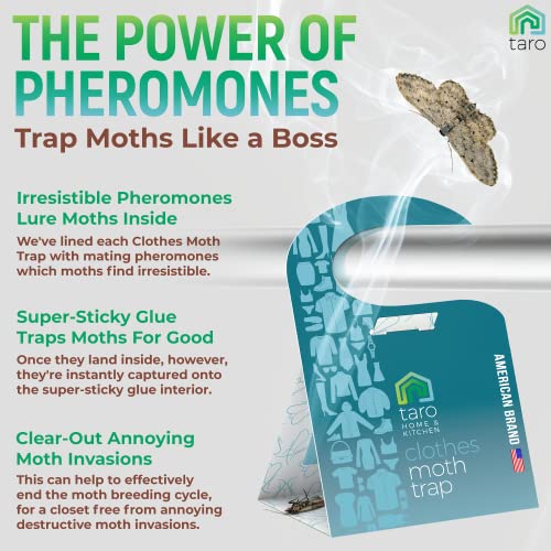 Clothes Moth Traps with Pheromones and Free Cedar Blocks Moth Repellent - Moth Traps for Clothes - Clothing Moth Traps with Pheromones - Closet Moth Traps for House - How to Get Rid of Moths in House