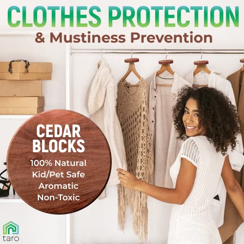 Clothes Moth Traps with Pheromones and Free Cedar Blocks Moth Repellent - Moth Traps for Clothes - Clothing Moth Traps with Pheromones - Closet Moth Traps for House - How to Get Rid of Moths in House