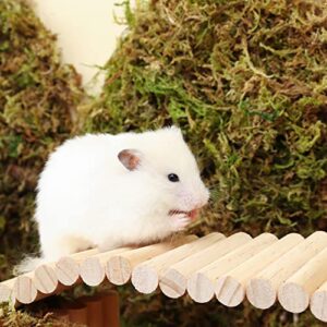 LUVCOSY Hamster Decoration Package = Bath Sand + Flower Petals + Forest Moss + Coconut Fiber + Wooden Fence, Habitat Bedding Accessories for Guinea Pig, Reptile & Small Animals