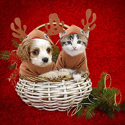 Dog Christmas Costume Antlers Dog Dresses Brown Pet Hoodie Printing Snowflake Santa Reindeer Cat Christmas Holiday Outfit Cotton Pet Fall Winter Clothes Pet Costumes for Small Medium Dogs Cats (M)