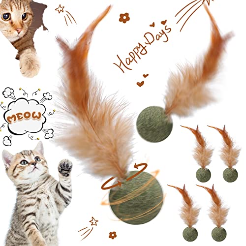 HyDren 6 Pcs Interactive Cat Toy Catnip Feather Ball Compressed Natural Catnip Lollipop Natural Cat Kicker with Feathers for Kitty