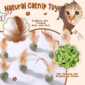 HyDren 6 Pcs Interactive Cat Toy Catnip Feather Ball Compressed Natural Catnip Lollipop Natural Cat Kicker with Feathers for Kitty