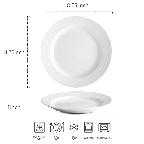 Ceramic Dinner Plates Set of 6, 8.7 Inch Pasta Salad Plate Set, Kitchen Serving Dishes White Dinner Plates for Party, Lunch, Appetizer, Large Dinnerware Plates for Kitchen - Dishwasher, Microwave Safe