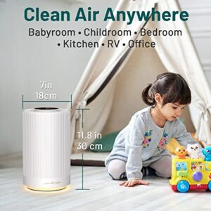 Jafanda Air Purifiers for Home bedroom,One Air Purifier and One Replacement Filter,H13 True HEPA Coverage 450 sqft,23 dB Air cleaner with Brushless Motor