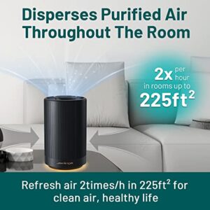 Jafanda Air Purifiers for Home Bedroom,One Air Purifier and One Replacement Filter,H13 True HEPA Coverage 450 sqft,23 dB Air cleaner with Brushless Motor