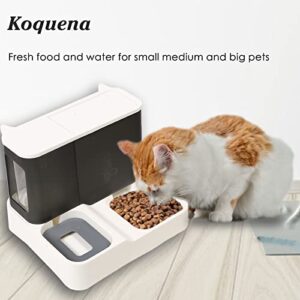 Koquena 2 in 1 Automatic Feeder Dog Water Fountain Pet Gravity Self Feeding Food and Water Dispenser for Small Medium Big Pets Grey