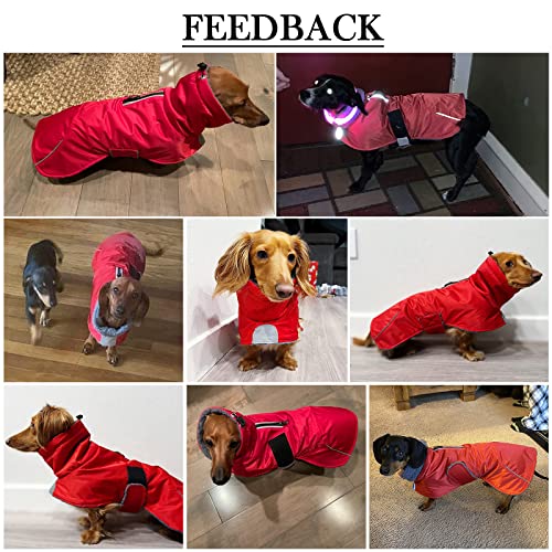 Dachshund Coats Waterproof, Perfect for Dachshunds, Sausage, Weiner Dog Winter Coat with Padded Fleece, Puppy Snowsuit with Adjustable Bands and High Vis Reflective Trim - Navy - XS